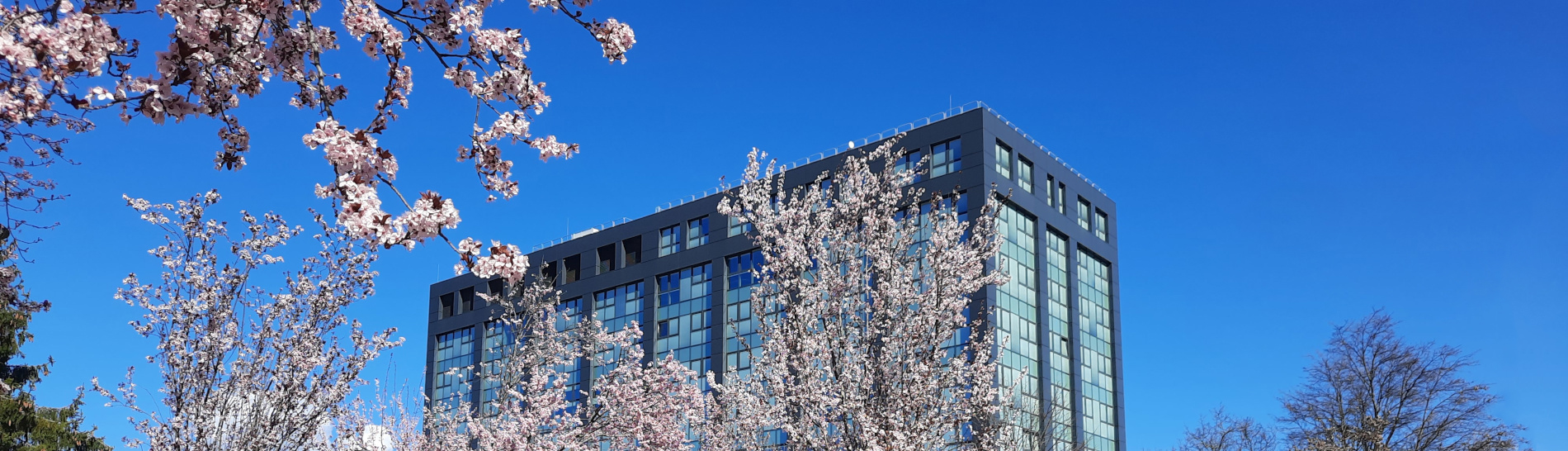 Sito Ufficiale Volkswagen Group Italia